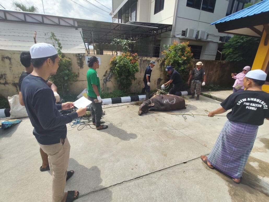 PWI Kaltim Berbagi Hewan Kurban